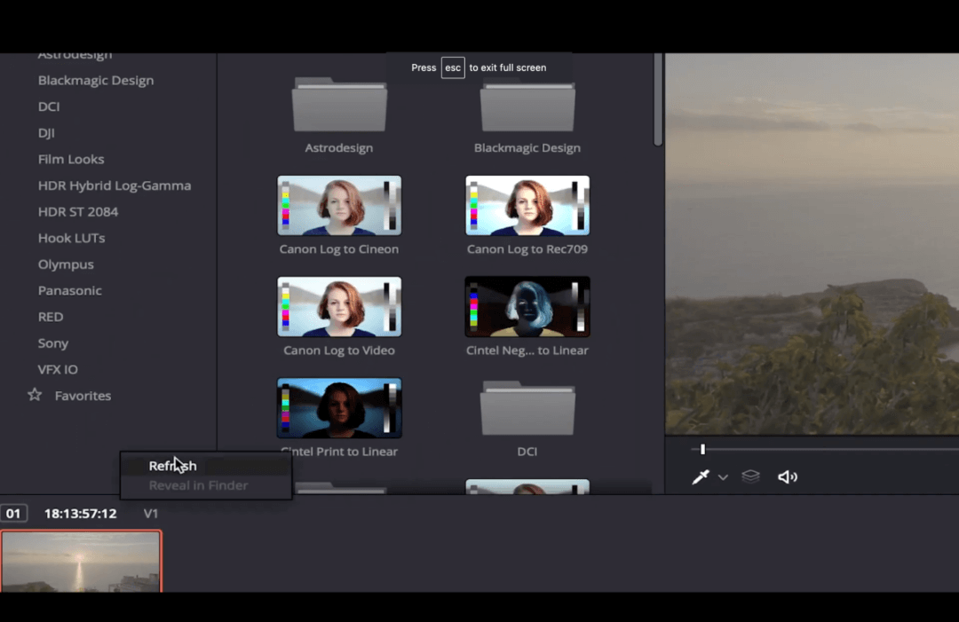 How To Create Your Own LUT In Premiere And DaVinci - MASV