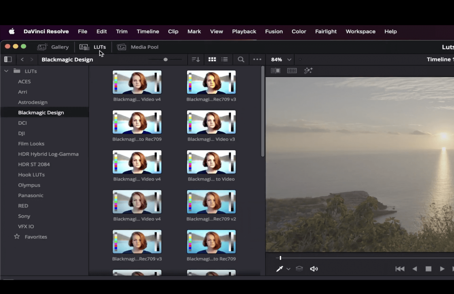 How To Create Your Own LUT In Premiere And DaVinci - MASV
