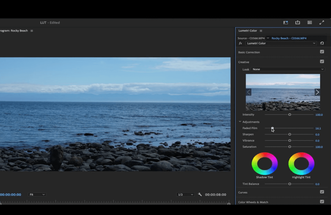 How To Create Your Own LUT In Premiere And DaVinci - MASV