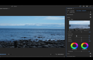 How To Create Your Own LUT In Premiere And DaVinci - MASV