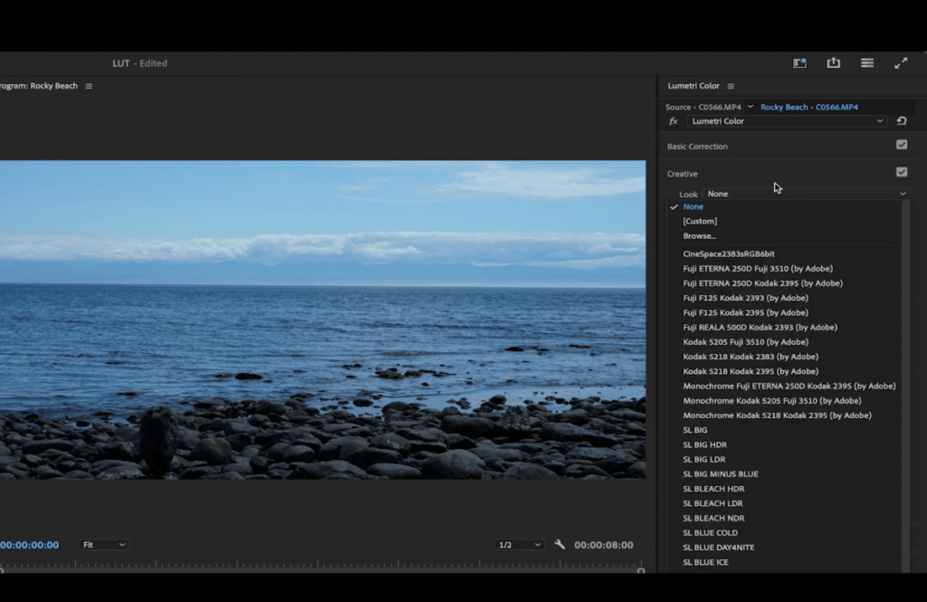 How To Create Your Own Lut In Premiere And Davinci Masv