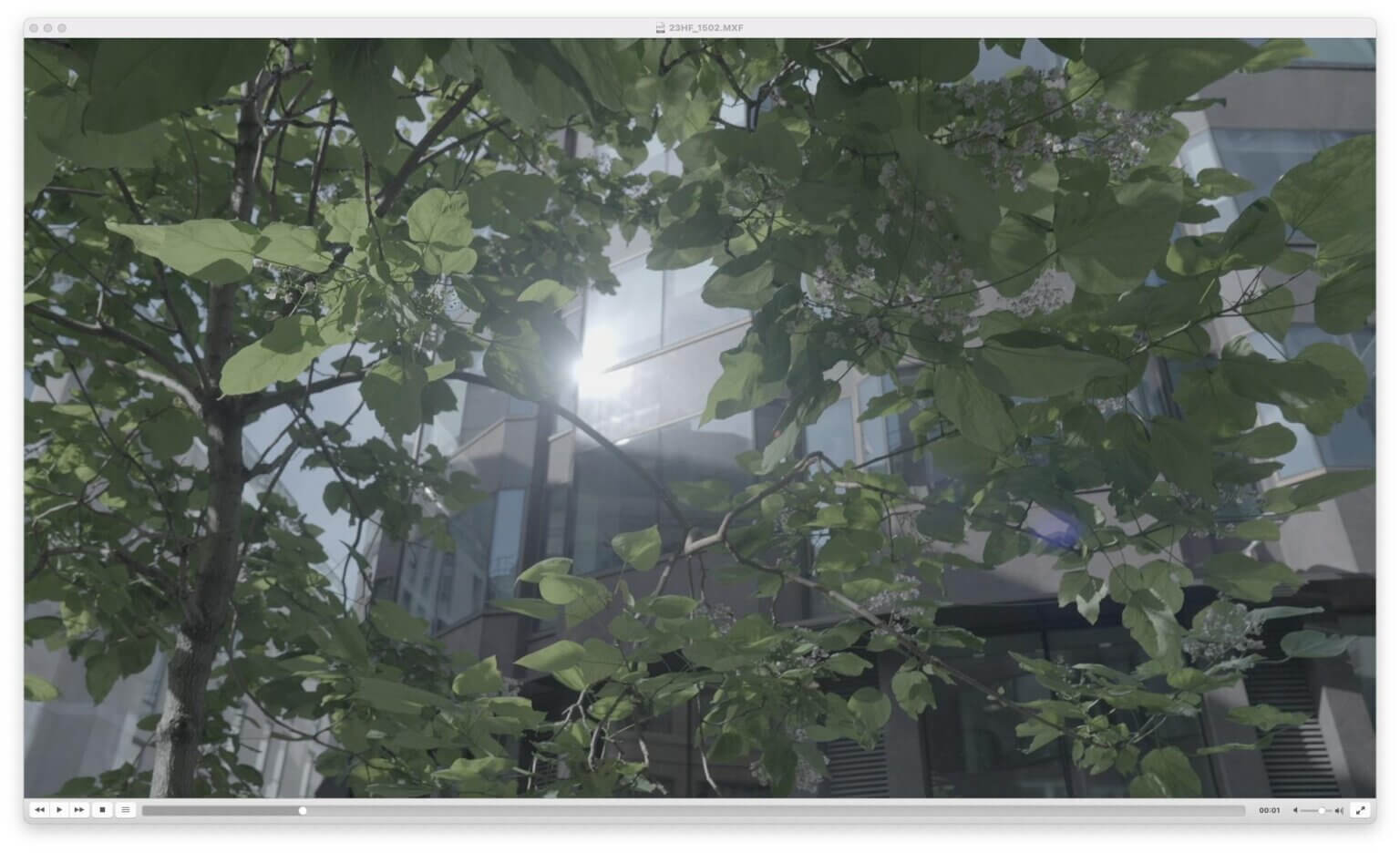 What Is An MXF File? The Versatile Media Container - MASV