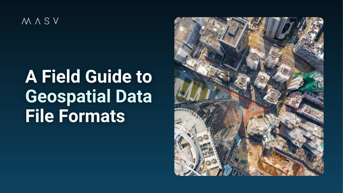 A Field Guide To 15 Geospatial Data Types And File Formats